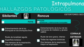 Auscultación | PPTX
