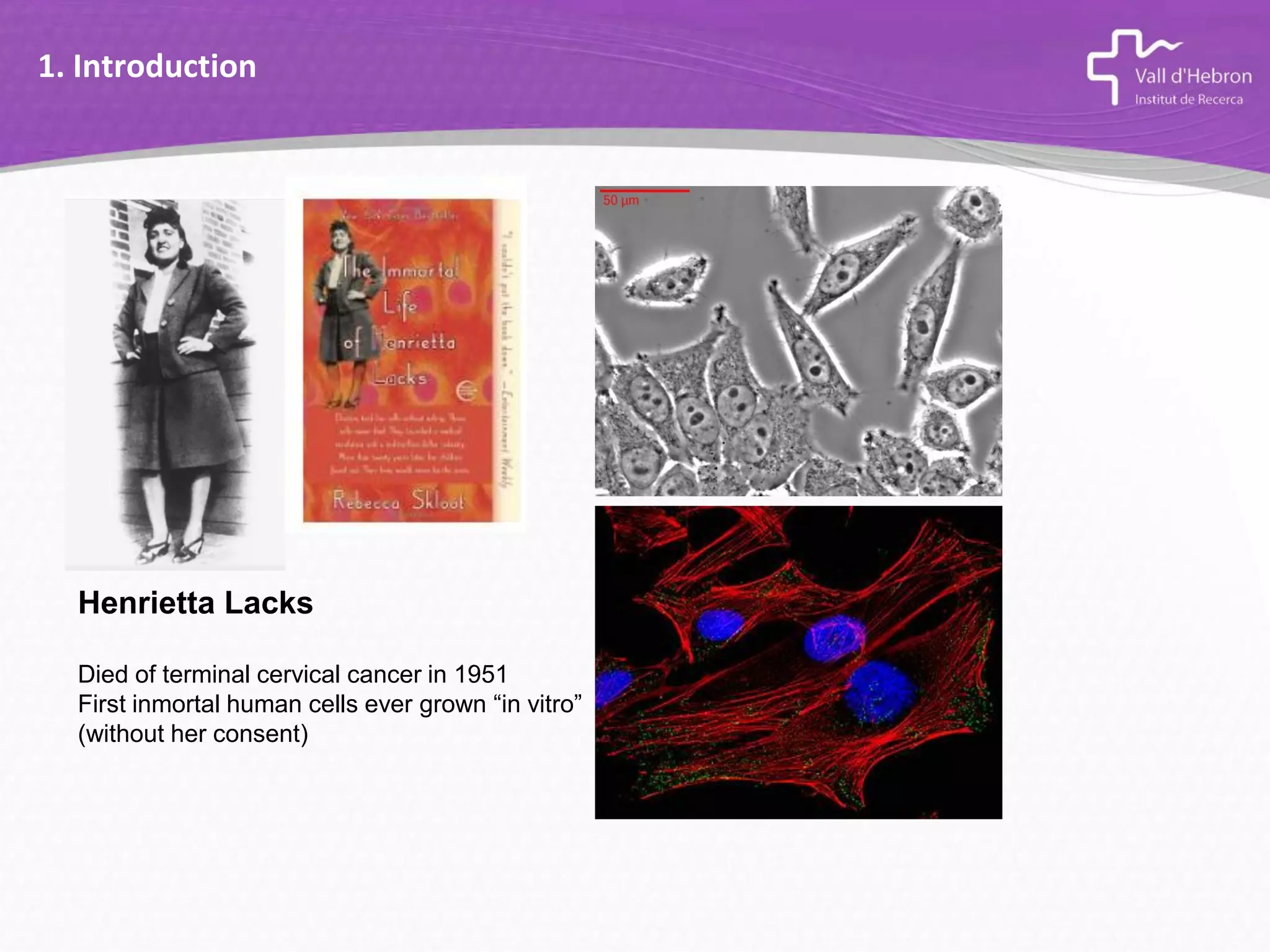 Human Cell Line Authentication. Why is it so important? | PPT