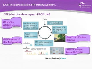 Human Cell Line Authentication. Why is it so important? | PPT