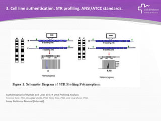 Human Cell Line Authentication. Why is it so important? | PPT