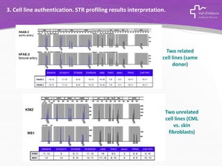 Human Cell Line Authentication. Why is it so important? | PPT