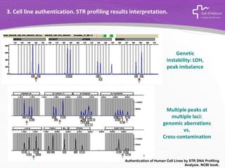 Human Cell Line Authentication. Why is it so important? | PPT