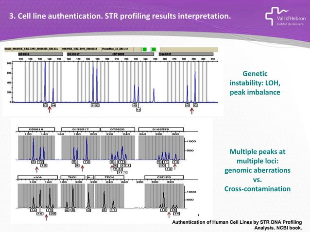 Human Cell Line Authentication. Why is it so important? | PPT
