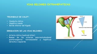 Seminario Axel Higado y vias biliares.pptx
