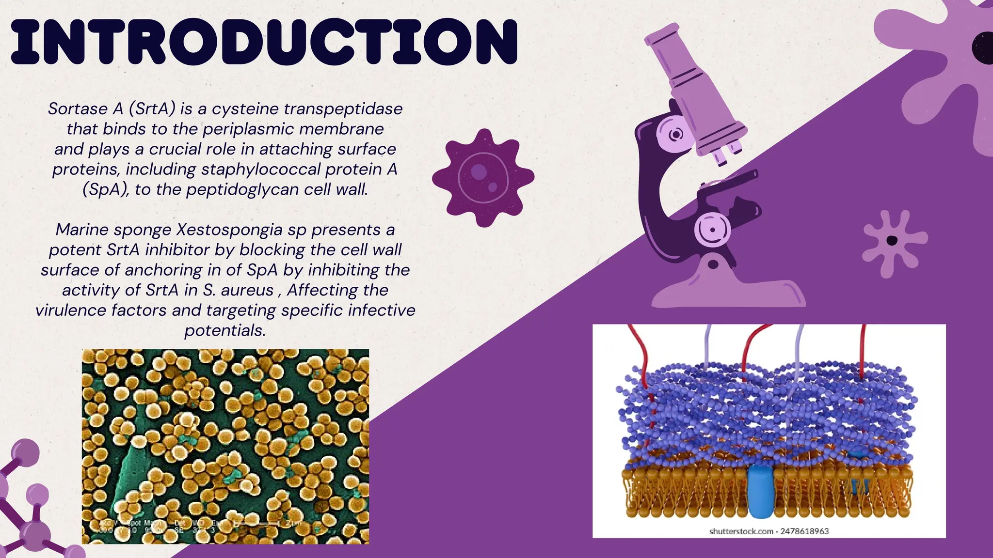 Seminario - Biología Molecular (Santiago Hoyos - Tomas Jaramillo) | PPT