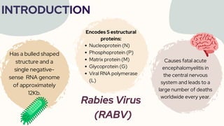 Seminario Biología Molecular- Laura Rivera.pdf