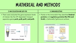Seminario biología molecular, Maria Antonia Maya. (2).pdf