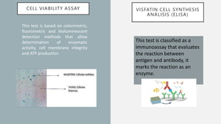Seminario biologia molecular Laura Sofia Jimenez | PPT
