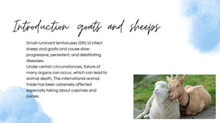 Seminario Biologia Molecular Samuel Trujillo y Sofia Tamayo | PPT