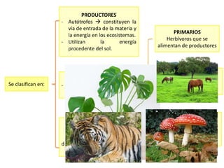 Los ecosistemas | PPTX