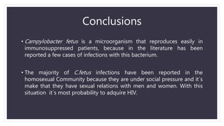 Campylobacter fetus | PPTX