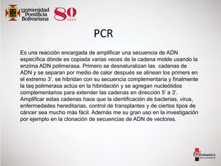 Seminario biología molecular | PPT
