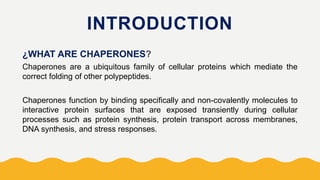 RNA-BINDING AS CHAPERONES OF DNA BINDING PROTEINS FROM STARVED CELLS ...