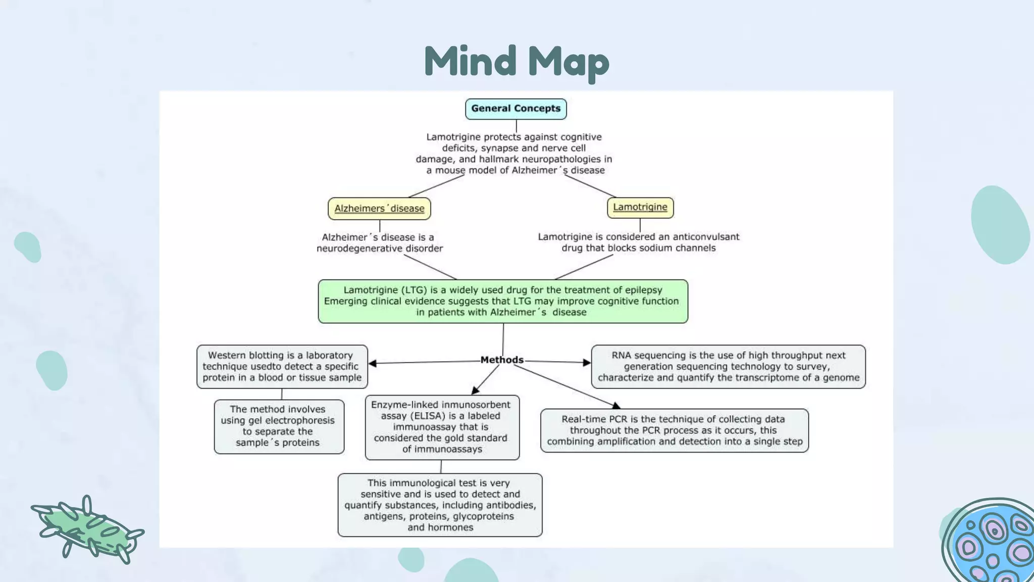 Lamotrigine protects against cognitive deficits, synapse and nerve cell ...