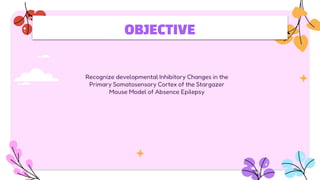 Developmental Inhibitory Changes in the Primary Somatosensory Cortex of ...