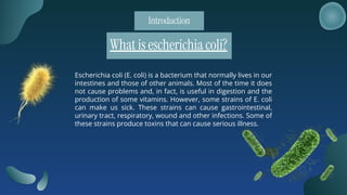 Seminario Biomol- Gwyneth Lorena Serna Salazar | PDF