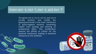 Seminario Biomol- Gwyneth Lorena Serna Salazar | PDF