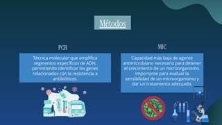 Seminario Biomol- Gwyneth Lorena Serna Salazar | PDF