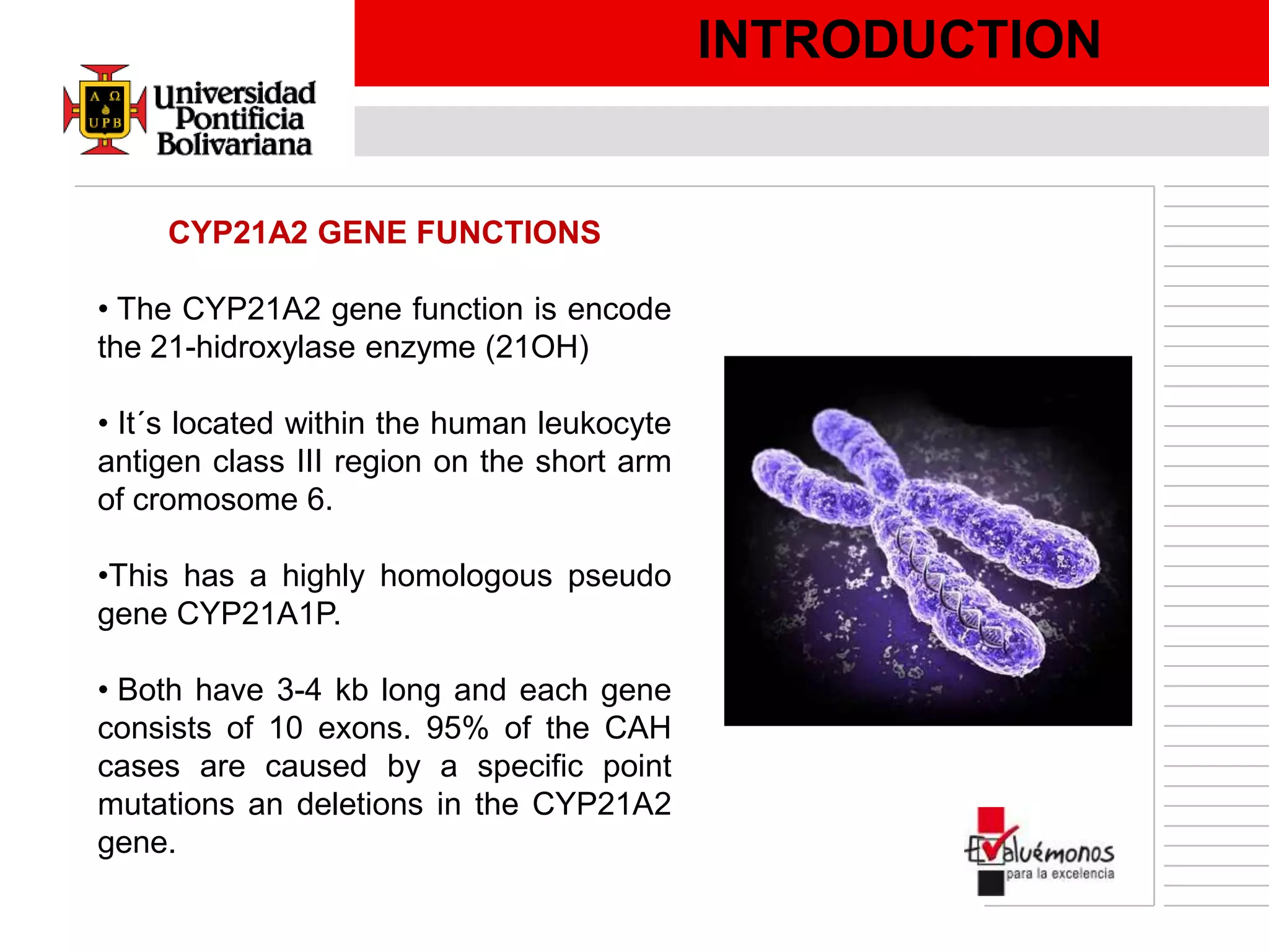 Congenital Adrenal Hyperplasia (CAH) | PPTX