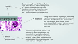 Seminario biología molecular CMV | PPT