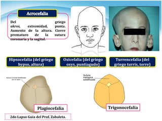 Exploración física del cráneo y la cara. | PPTX