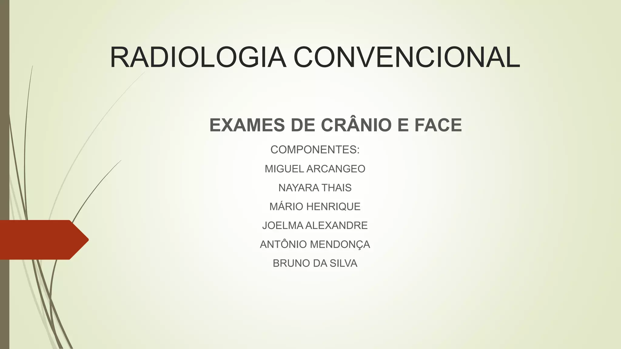 Crânio e Face Posicionamento radiográfico. | PPTX