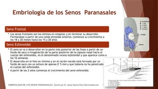 Seminario de Anatomía de senos Paranasales.pptx