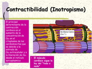 Propiedades del musculo cardíaco. Biofisica. | PPTX