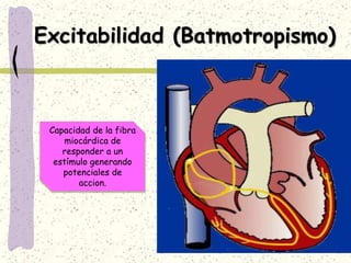 Propiedades del musculo cardíaco. Biofisica. | PPTX