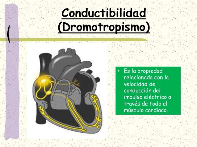 Propiedades del musculo cardíaco. Biofisica.