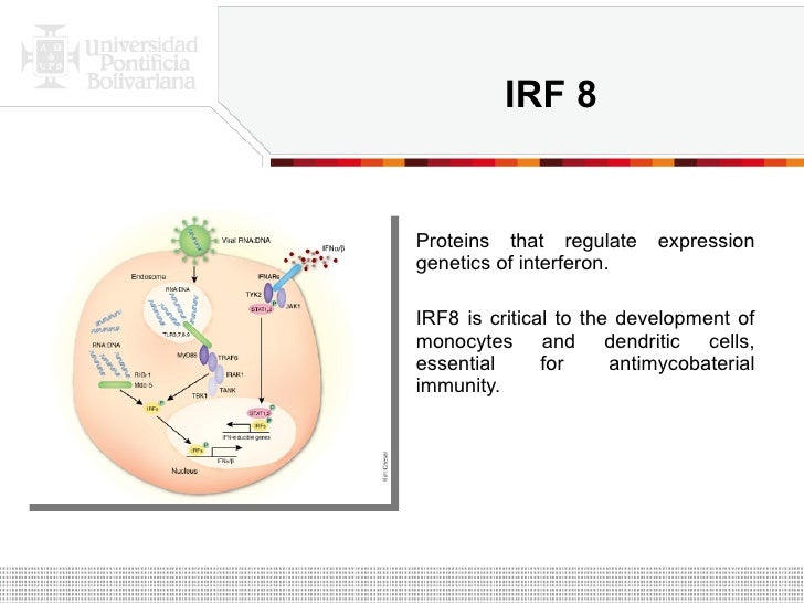 IRF8 Mutations and Human Dendritic-Cell Immunodefiency
