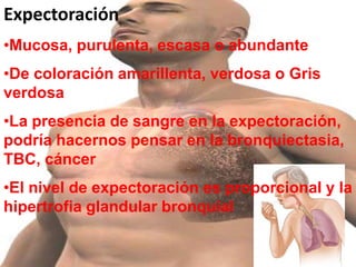 Bronquitis aguda y crónica | PPTX
