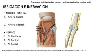 seminario de fracturas de humero dista.pptx