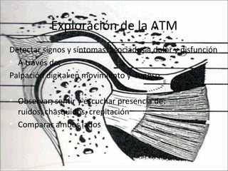 Historia Clinica Y Exploracion De La Atm Ppt
