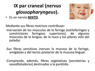 Seminario de IX y X par | PPTX