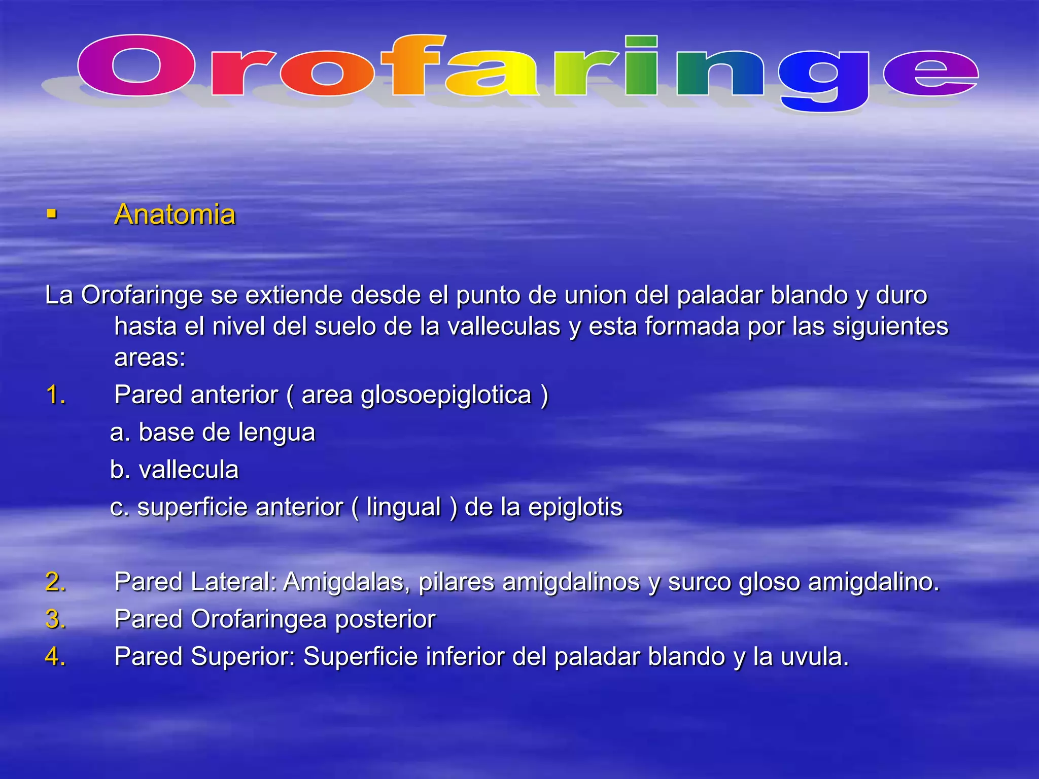 Seminario de Orofaringe.ppt | Ear, Nose and Throat Conditions ...