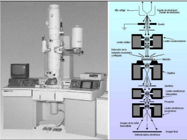 Microscopio Electrónico de Transmision