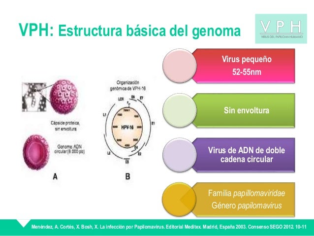 VPH (Virus del Papiloma Humano)