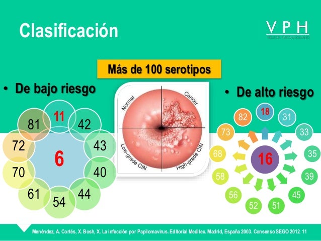 VPH (Virus del Papiloma Humano)