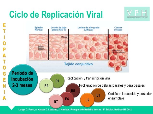 VPH (Virus del Papiloma Humano)