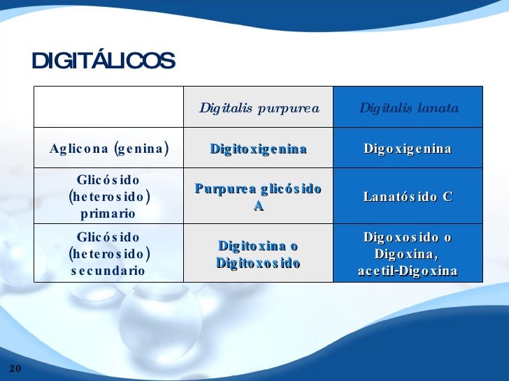 Seminario digitalicos