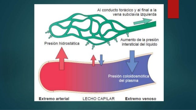 Edema - Fisiopatologia