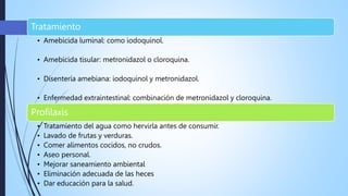 Seminario Entamoeba Histolytica.pptx