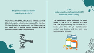 Role and regulation of GLUT1/3 during oral cancer progression and ...