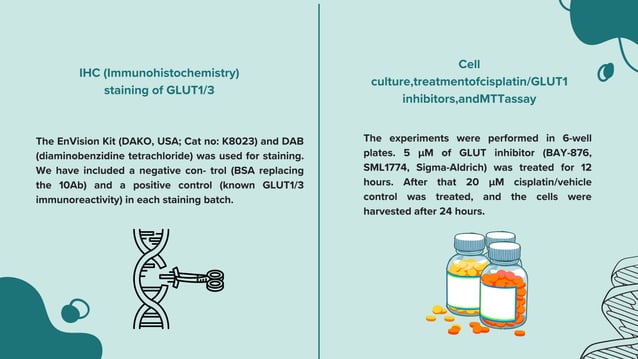 Role and regulation of GLUT1/3 during oral cancer progression and ...