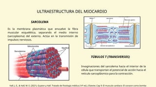 Estructura de la fibra miocardicaa.pptx
