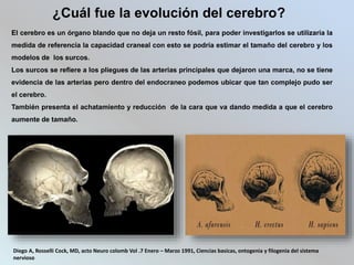 Seminario filogenesis y ontogenesis SNC.pptx