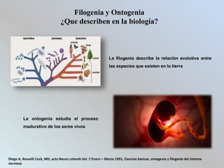 Seminario filogenesis y ontogenesis SNC.pptx