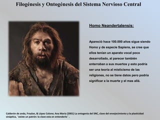 Seminario filogenesis y ontogenesis SNC.pptx