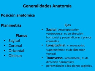 seminario generalidades anatomia....pptx